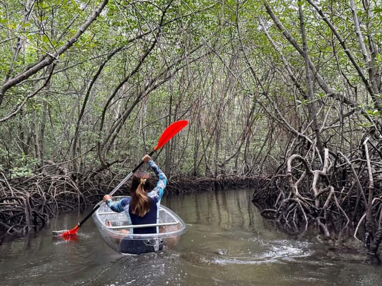 From Lembongan: Kayak/Paddleboard/Boat Mangrove Tour - Final Thoughts: Is It Worth It?