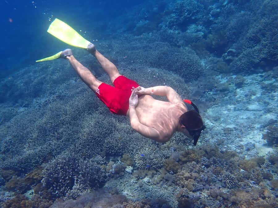 From Lembongan: Nusa Penida Snorkeling Day Trip - The Highlight: Swimming with Manta Rays