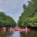 From Lembongan/Penida: Manta Point Private Snorkeling Tour - The Practical Side of the Tour