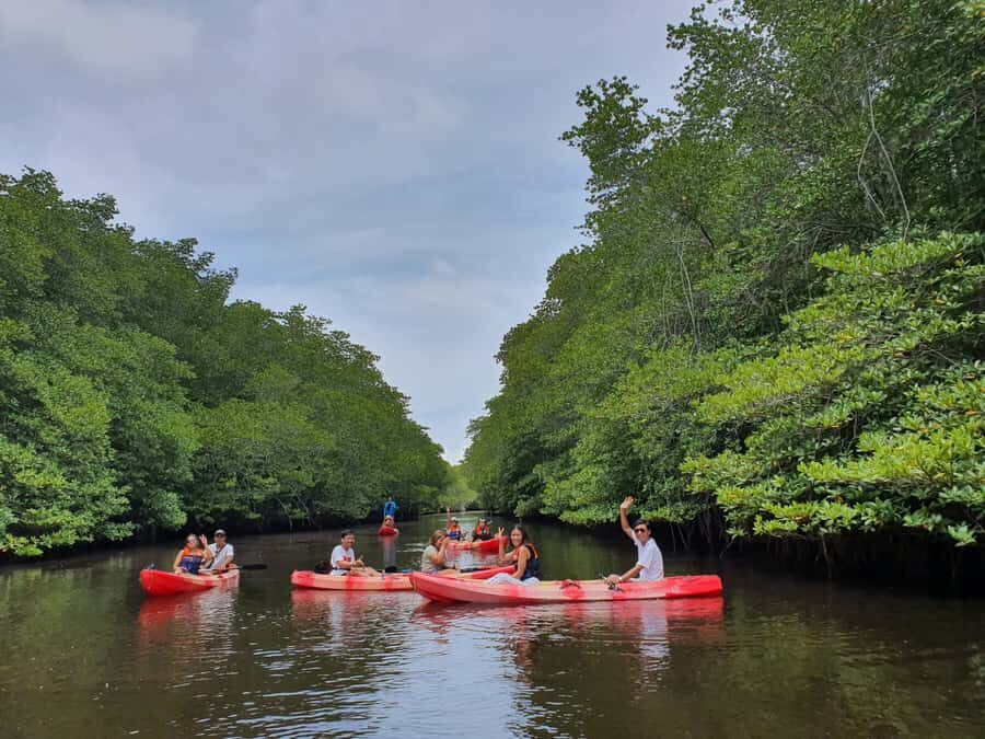 From Lembongan/Penida: Manta Point Private Snorkeling Tour - The Practical Side of the Tour