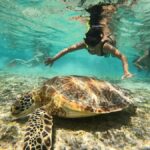 From Lombok: Gili Islands Snorkeling Day Trip - Transportation & Group Size