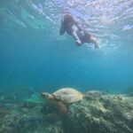 From Lombok Private Snorkeling 3 Gili All Inclusive - What We Love About This Tour