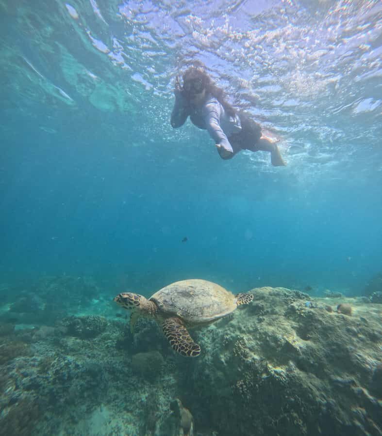 From Lombok Private Snorkeling 3 Gili All Inclusive - What We Love About This Tour