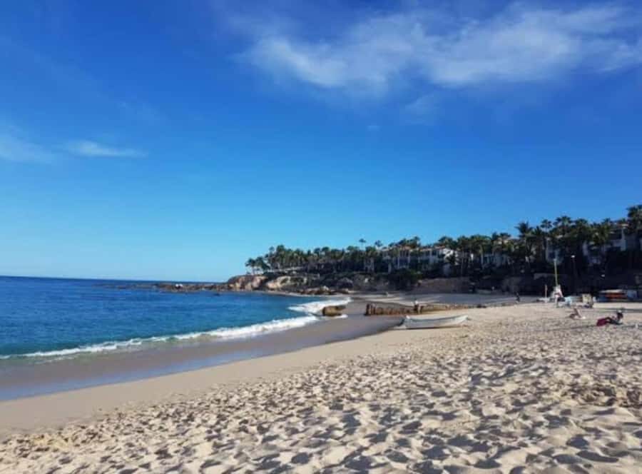 From Los Cabos: La Palmilla Beach Time & Drinks - Why La Palmilla is Worth Considering