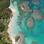 From Los Melones: Saona Island Day Trip with Lunch - The Practical Side: What You Should Know