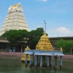 From Mahabalipuram to Kanchipuram Temple Tour with Lunch - The Real Value of This Tour