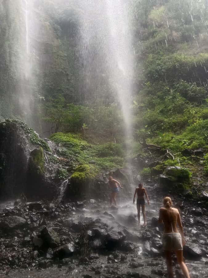 From Malang / Surabaya: Madakaripura Waterfall Guided Tour - What to Expect During the Day