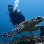 From Manila: Beginner's Scuba Diving Experience - Why You Should Consider This Tour