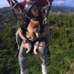 From Manila: Tandem Paragliding Experience with Pilot - The Practical Side: Booking, Price, and Group Size