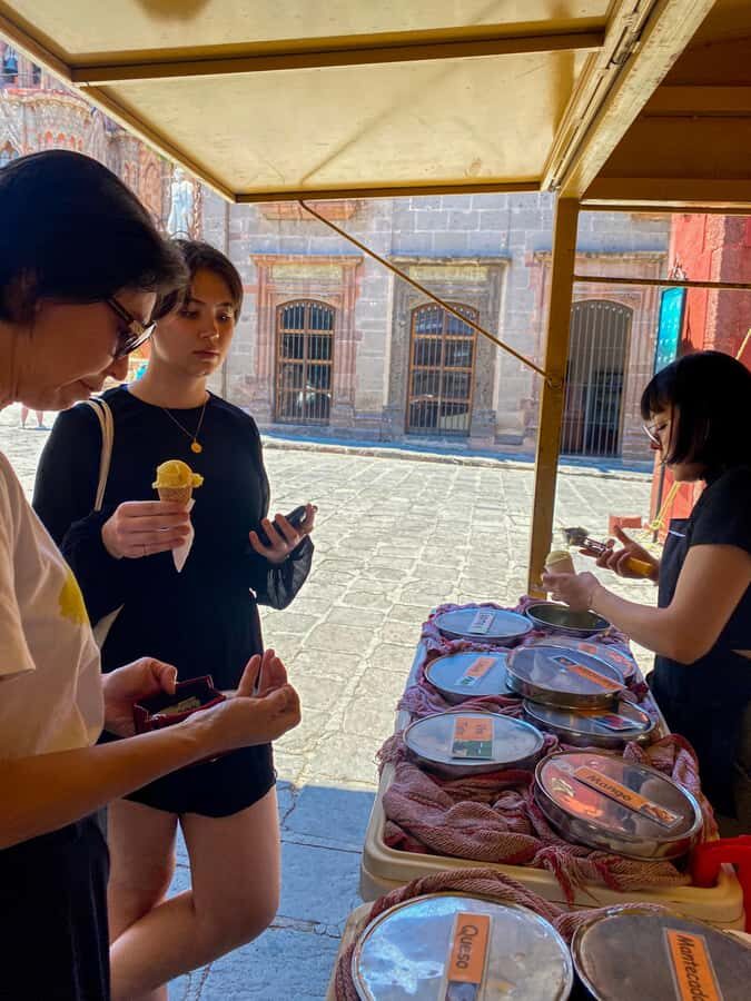 From Mexico City: Day Tour of the Colonial City of San Miguel de Allende - What Makes This Tour Stand Out?