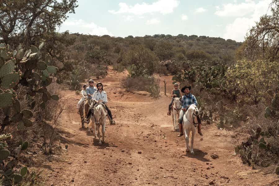 From Mexico City: Horseback Riding in Mexico - The Sum Up: Is This Tour Worth It?