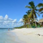 From miches: Isla Catalina Snorkeling Tour with Lunch - What Travelers Say