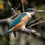 From Mirissa: Crocodile Watching River Boat Safari - Pricing and Value: Is It Worth It?