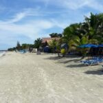 From Montego Bay: 7 Mile Beach and Rick's Cafe Cliff Jump - Who Should Consider This Tour?