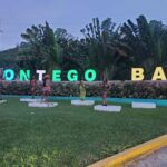 From Montego Bay: Bamboo Rafting & Limestone Massage Tour - The Itinerary and What to Expect