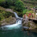 From Montego Bay/Falmouth: Coffee Farm Blue Mountain Hike - Practical Details and Considerations