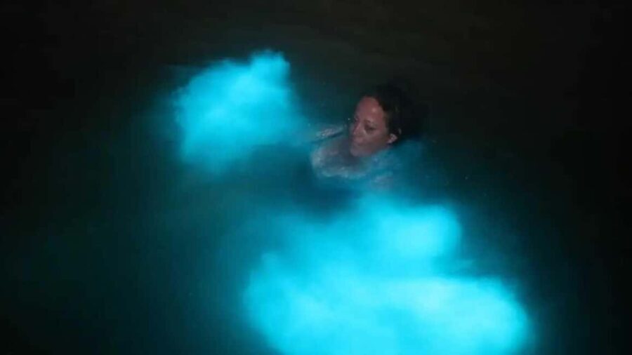 From Montego Bay: Luminous Lagoon Boat Tour with Transfer - The Itinerary: What You Can Expect