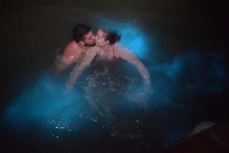 From Montego Bay: Luminous Lagoon Night Tour - Key Points