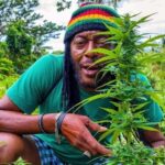 From Montego Bay/Negril: Rasta Safari UTV Experience - Who Will Appreciate This Tour?