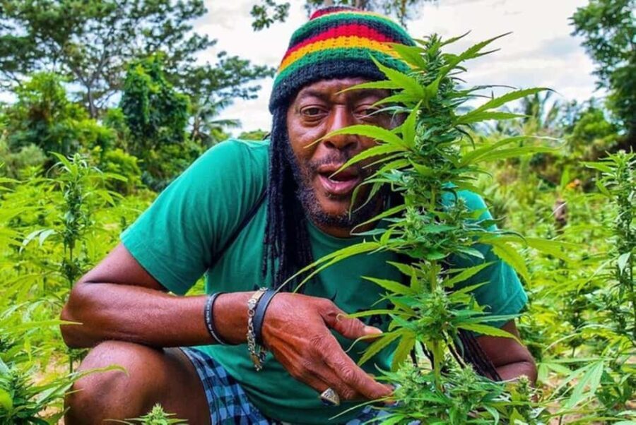 From Montego Bay/Negril: Rasta Safari UTV Experience - Who Will Appreciate This Tour?