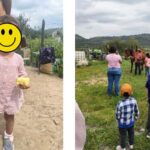 From Monterrey: Visits to the Organic Gardens - The Practical Side: What You Need to Know