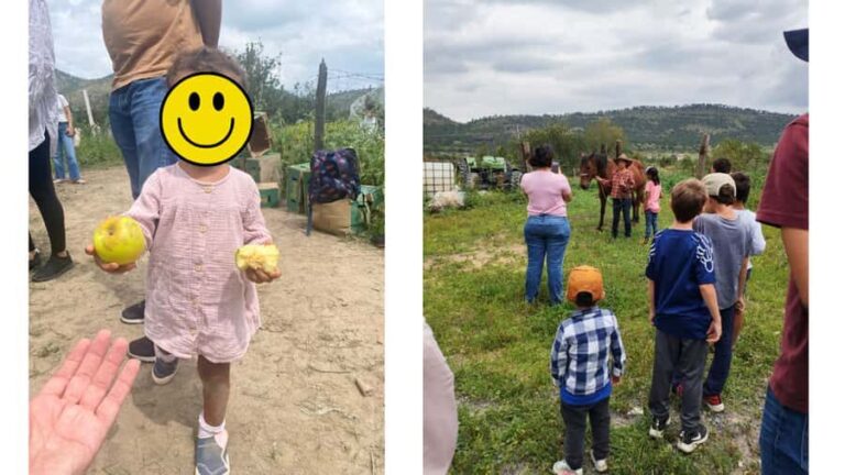 From Monterrey: Visits to the Organic Gardens - The Practical Side: What You Need to Know