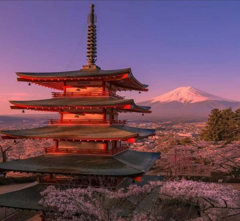 From Nagano: Mount Fuji Private Full-Day Customized Tour - What You Can Expect from the Tour