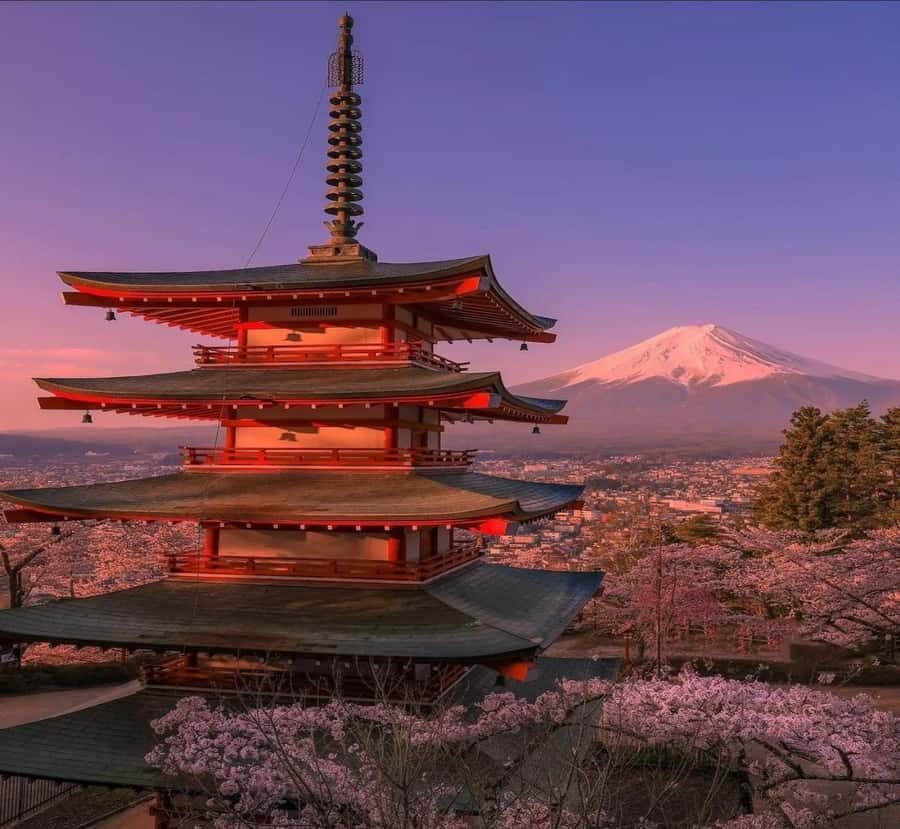 From Nagano: Mount Fuji Private Full-Day Customized Tour - What You Can Expect from the Tour