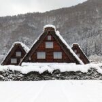 From Nagoya: Snow Day in the Japan Alps & Shirakawago - Who Will Love This Tour?