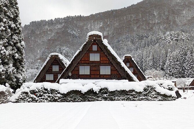From Nagoya: Snow Day in the Japan Alps & Shirakawago - Who Will Love This Tour?