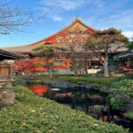 From Nagoya: Tokyo Private Scenic Tour with English Guide - What to Expect on Your Day Trip