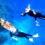 From Naha:Full-Day Kerama Island Experience 1Dive/Snorkeling - What Sets This Tour Apart?