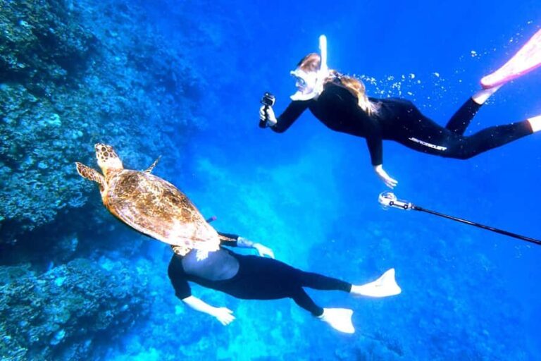 From Naha:Full-Day Kerama Island Experience 1Dive/Snorkeling - What Sets This Tour Apart?