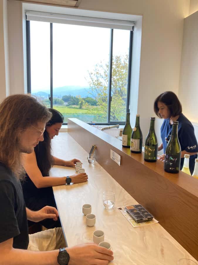 From Nara to Gojo: Private Cultural Walk with Sake & Temples - A Deep Dive into the Experience