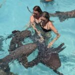 From Nassau: Exuma Powerboat Tour and Pig Beach with Lunch - What We Think About the Experience