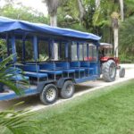 From Negril: YS Falls and the Pelican Bar - Final Thoughts