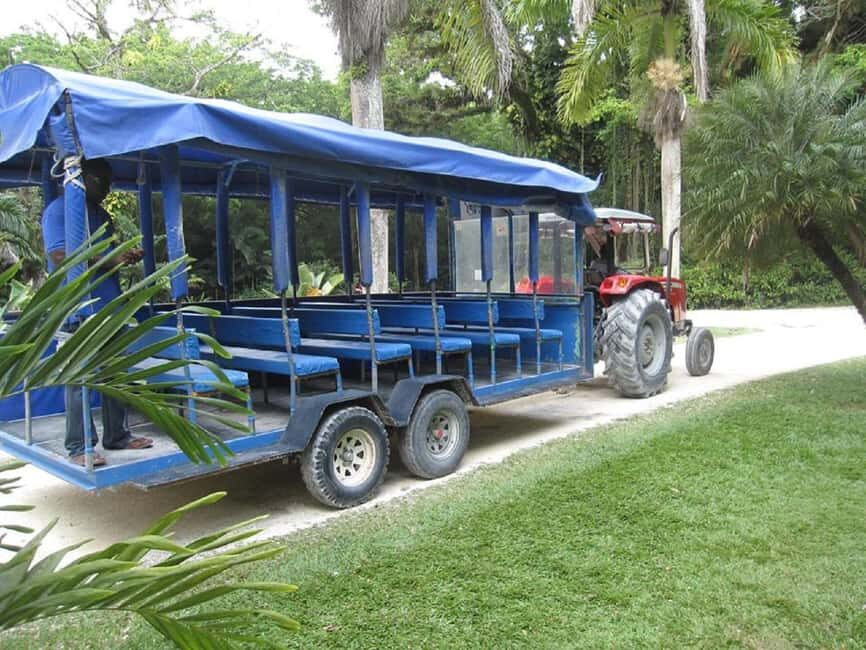 From Negril: YS Falls and the Pelican Bar - Final Thoughts