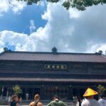 From Ninh Binh: Explore Bai Dinh, Mua Caves, Trang An Beauty - Who Is This Tour Best For?