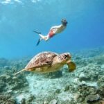 From Nusa Penida: 2D1N Gili Islands Private Snorkeling Tour - The Experience in Detail