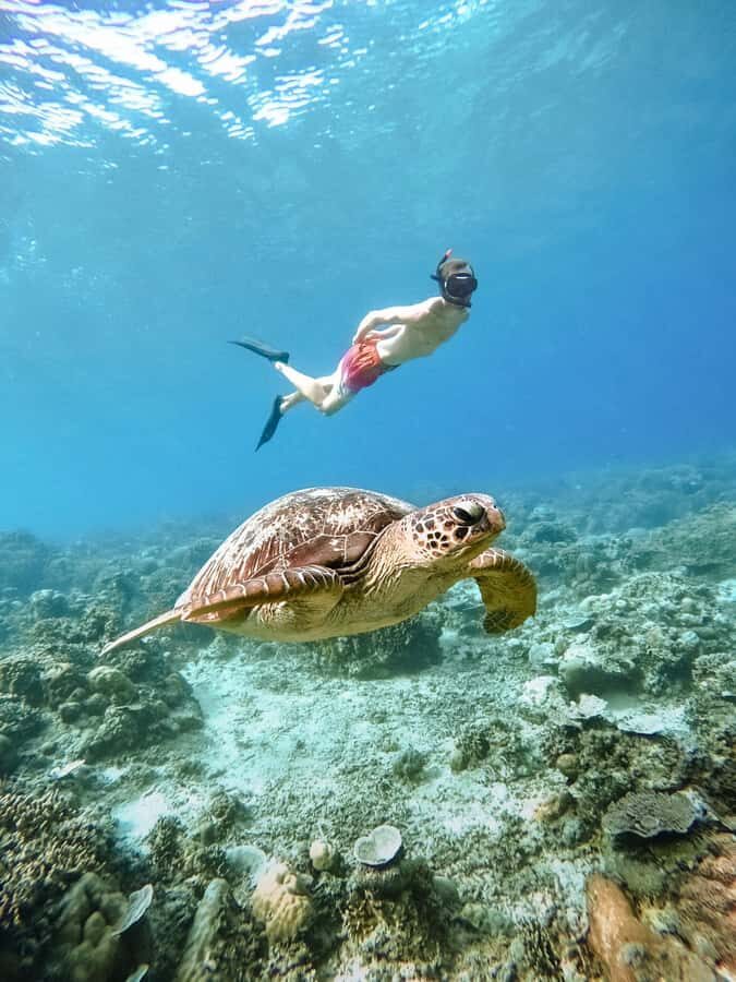 From Nusa Penida: 2D1N Gili Islands Private Snorkeling Tour - The Experience in Detail
