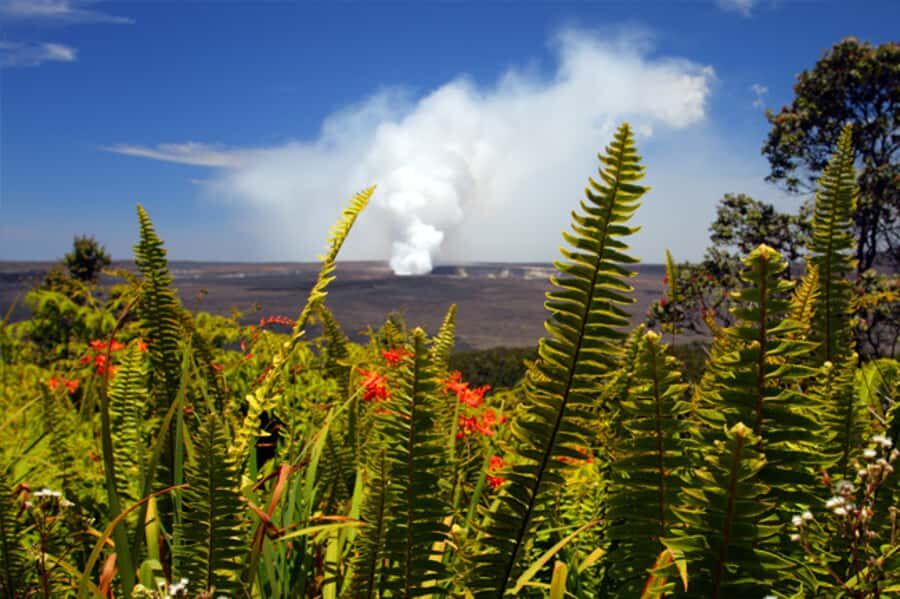From Oahu: Big Island Volcano Adventure & Helicopter - Who Should Consider This Tour?