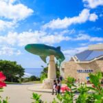 From Okinawa: Churaumi Aquarium & Cape Manzamo 1-Day Tour - A Detailed Breakdown of the Itinerary