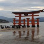 From Osaka/Kyoto: Hiroshima and Miyajima Private Custom Tour - The Value of a Private Tour