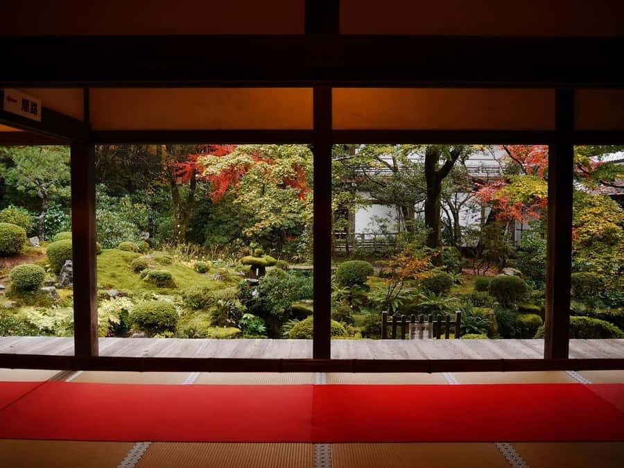 From Osaka: Kyoto Kifune Shrine & Eizan Railway Day Trip - Why This Tour Offers Great Value