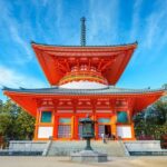 From Osaka/Kyoto: Mt. Koya & Nachi Falls Private Day Trip - Who Should Consider This Tour?