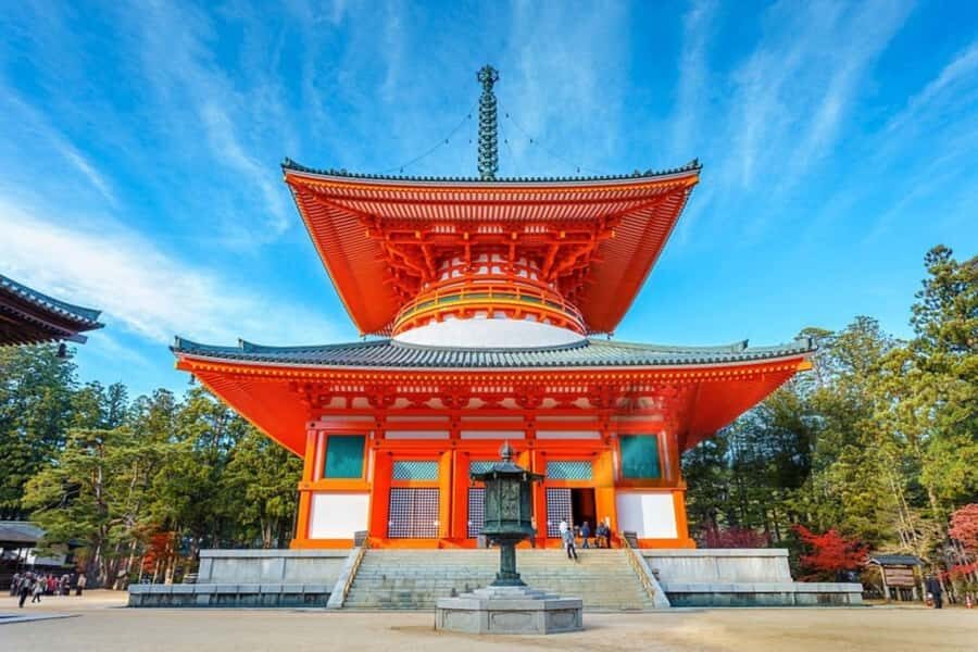 From Osaka/Kyoto: Mt. Koya & Nachi Falls Private Day Trip - Who Should Consider This Tour?