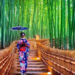 From Osaka/Kyoto : Private Kyoto & Nara Day Trip with Pickup - Authentic Feedback from Travelers