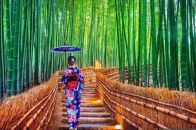 From Osaka/Kyoto : Private Kyoto & Nara Day Trip with Pickup - Authentic Feedback from Travelers