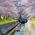 From Osaka: Kyoto Temples, Shrines & Cherry Blossom Day Trip - How Do Travelers Feel?