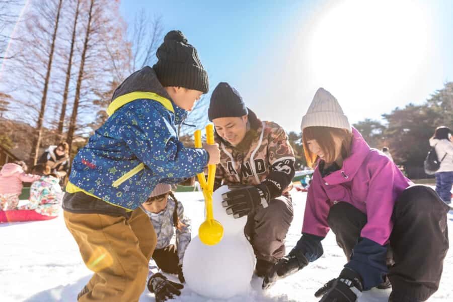 From Osaka: Mt. Rokko Snow, Crab Buffet & Strawberry Picking - What Makes This Tour Stand Out?